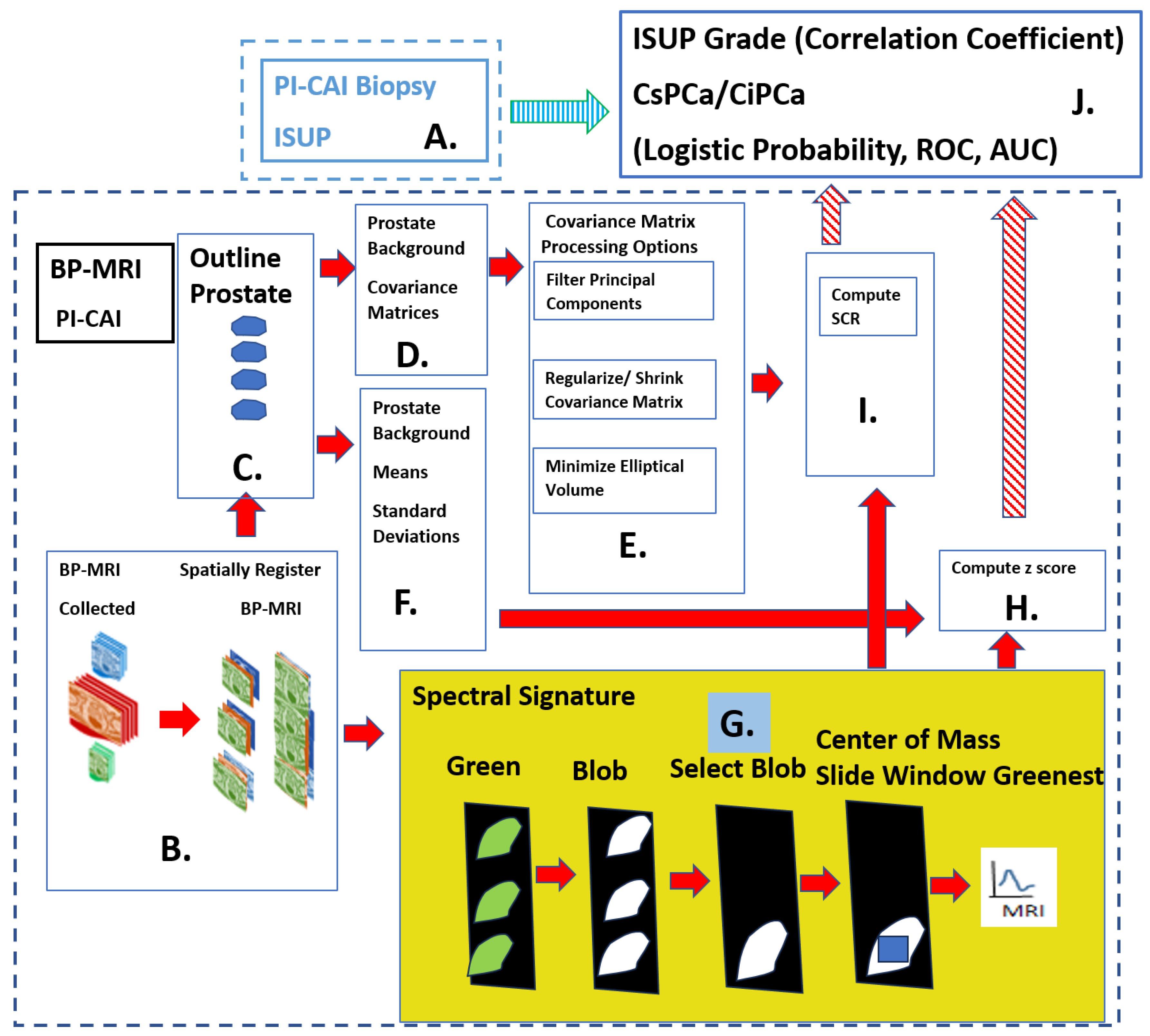 Cancers | Free Full-Text | Autonomous Tumor Signature Extraction Applied to Spatially Registered ...