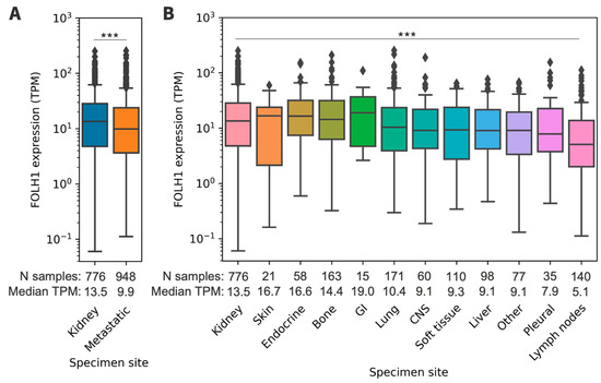 Characterization of FOLH1 Expression in Renal Cell Carcinoma