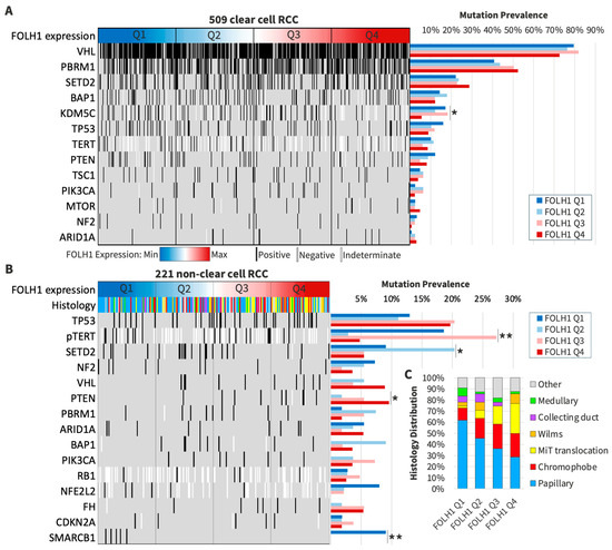 Characterization of FOLH1 Expression in Renal Cell Carcinoma