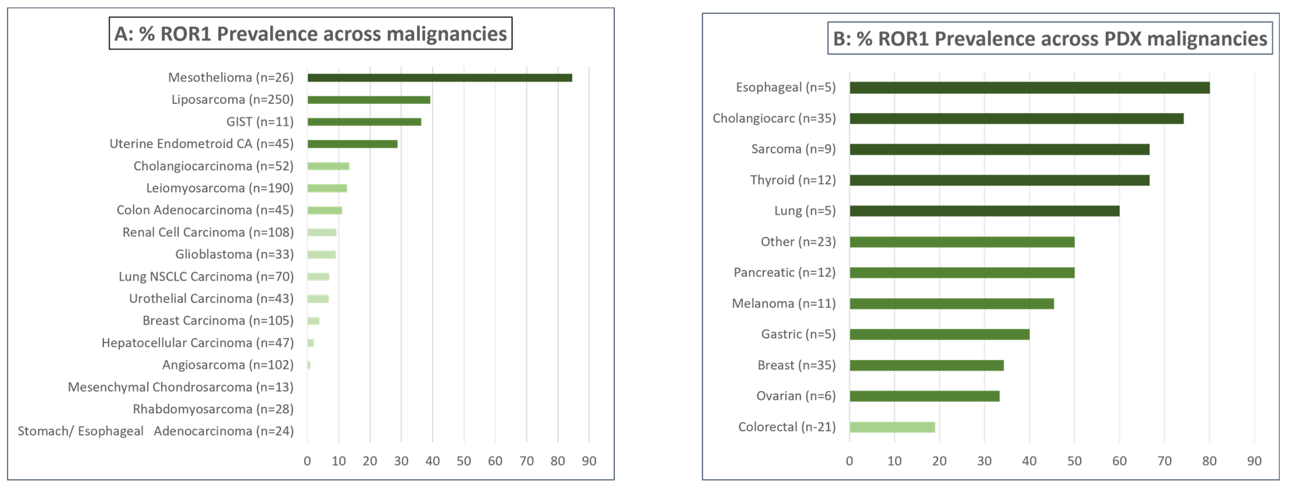 Heterogeneous Profile of ROR1 Protein Expression across Tumor Types