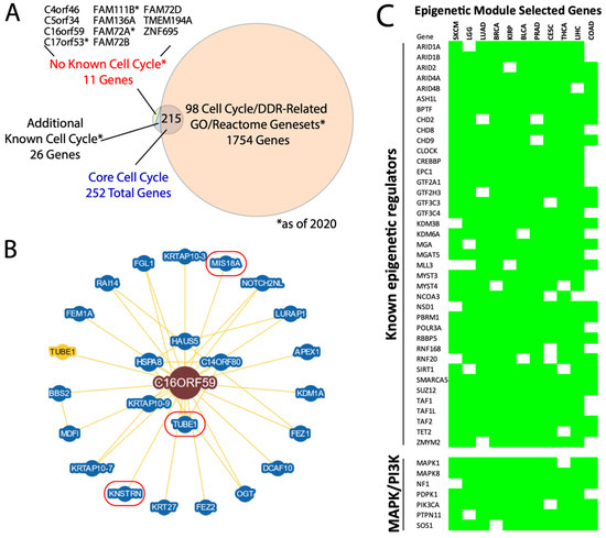 Cancers | Free Full-Text | A Gold Standard-Derived Modular Barcoding ...