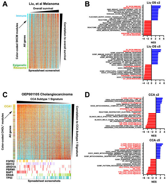 Cancers | Free Full-Text | A Gold Standard-Derived Modular Barcoding ...