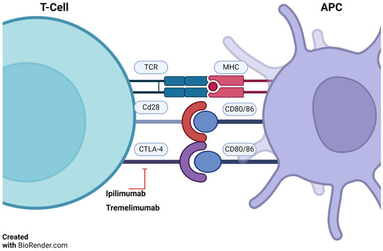 Is 18F-FDG-PET/CT an Optimal Imaging Modality for Detecting Immune ...