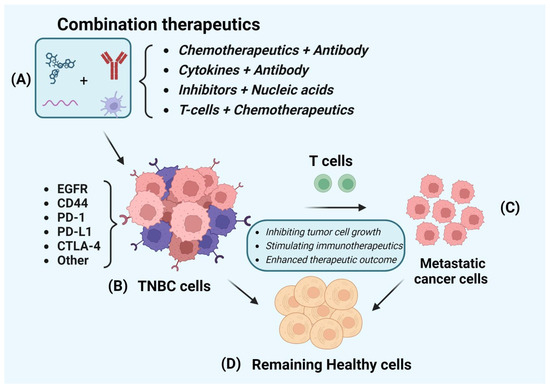 Recent Developments in Combination Immunotherapy with Other Therapies ...