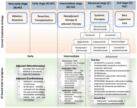 Hepatocellular Carcinoma: Beyond the Border of Advanced Stage Therapy