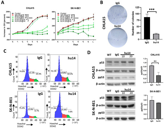 Hu14.18K.322A Causes Direct Cell Cytotoxicity and Synergizes with ...