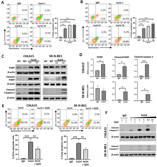 Hu14.18K.322A Causes Direct Cell Cytotoxicity and Synergizes with ...