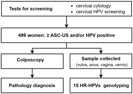 High-Risk Genotypes of Human Papillomavirus at Diverse Anogenital Sites ...