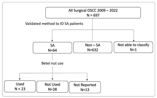 Cancers | Free Full-Text | The Association of Ethnicity and Oncologic ...