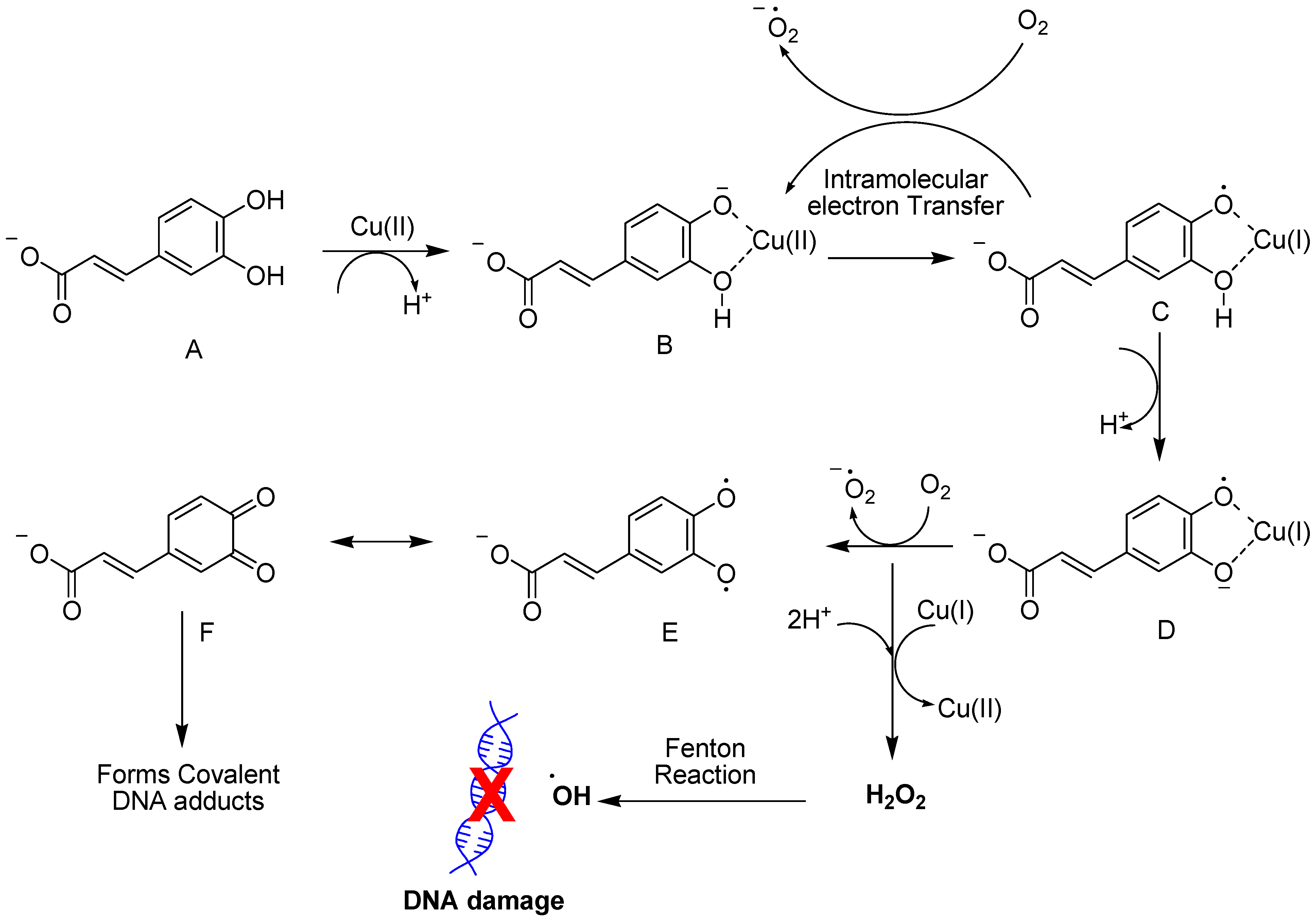 Cancers | Free Full-Text | Generation of Hydrogen Peroxide in Cancer ...