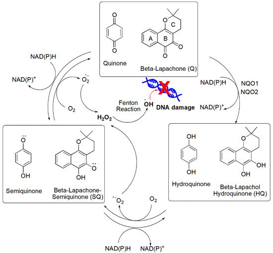 Generation of Hydrogen Peroxide in Cancer Cells: Advancing Therapeutic ...