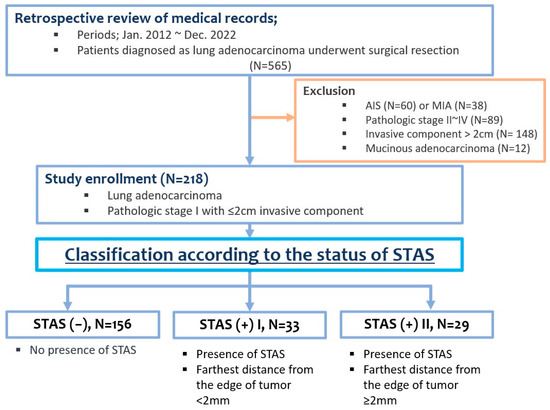 Clinical Importance of Grading Tumor Spread through Air Spaces in Early ...