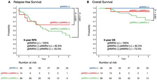 Mismatch Repair (MMR) Gene Mutation Carriers Have Favorable Outcome in ...