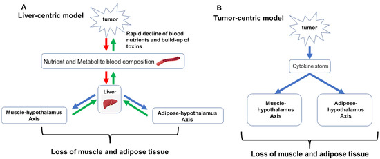 Defining and Addressing Research Priorities in Cancer Cachexia through ...