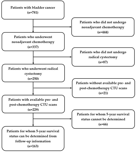 Outcome Prediction Using Multi-Modal Information: Integrating Large ...