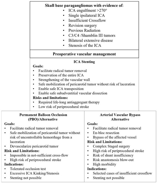 The Role of Internal Carotid Artery Stent in the Management of Skull ...