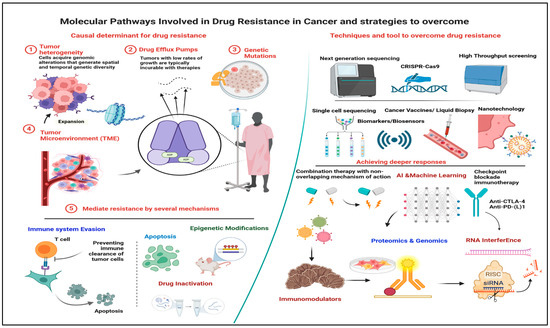 Emerging Therapeutic Strategies to Overcome Drug Resistance in Cancer Cells