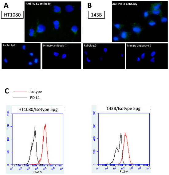 Release of Exosomal PD-L1 in Bone and Soft Tissue Sarcomas and Its ...