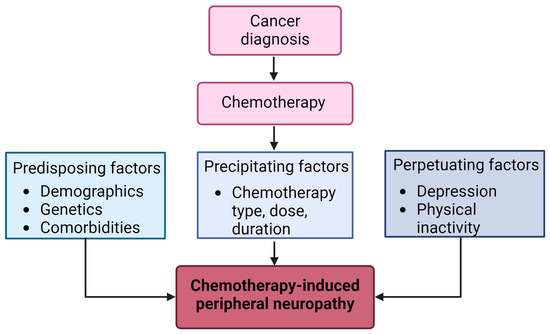 Chemotherapy-Induced Peripheral Neuropathy (CIPN): A Narrative Review ...