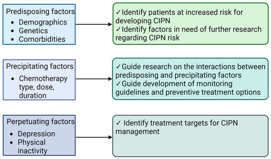 Chemotherapy-Induced Peripheral Neuropathy (CIPN): A Narrative Review and Proposed Theoretical Model