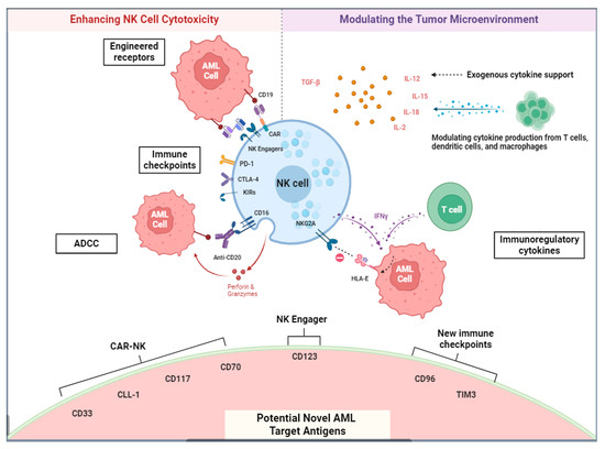 The Immune Resistance Signature of Acute Myeloid Leukemia and Current Immunotherapy Strategies