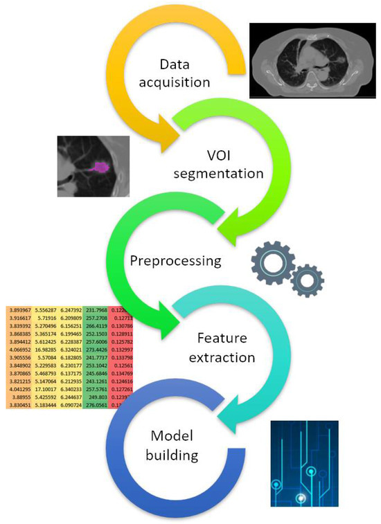Cancers | Free Full-Text | Impact of Preprocessing Parameters in Medical Imaging-Based Radiomic ...