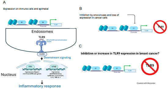 Understanding the Role of Toll-Like Receptors 9 in Breast Cancer