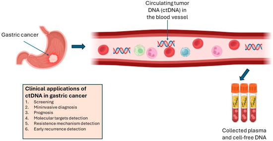 Emerging Therapeutic Targets and Future Directions in Advanced Gastric ...