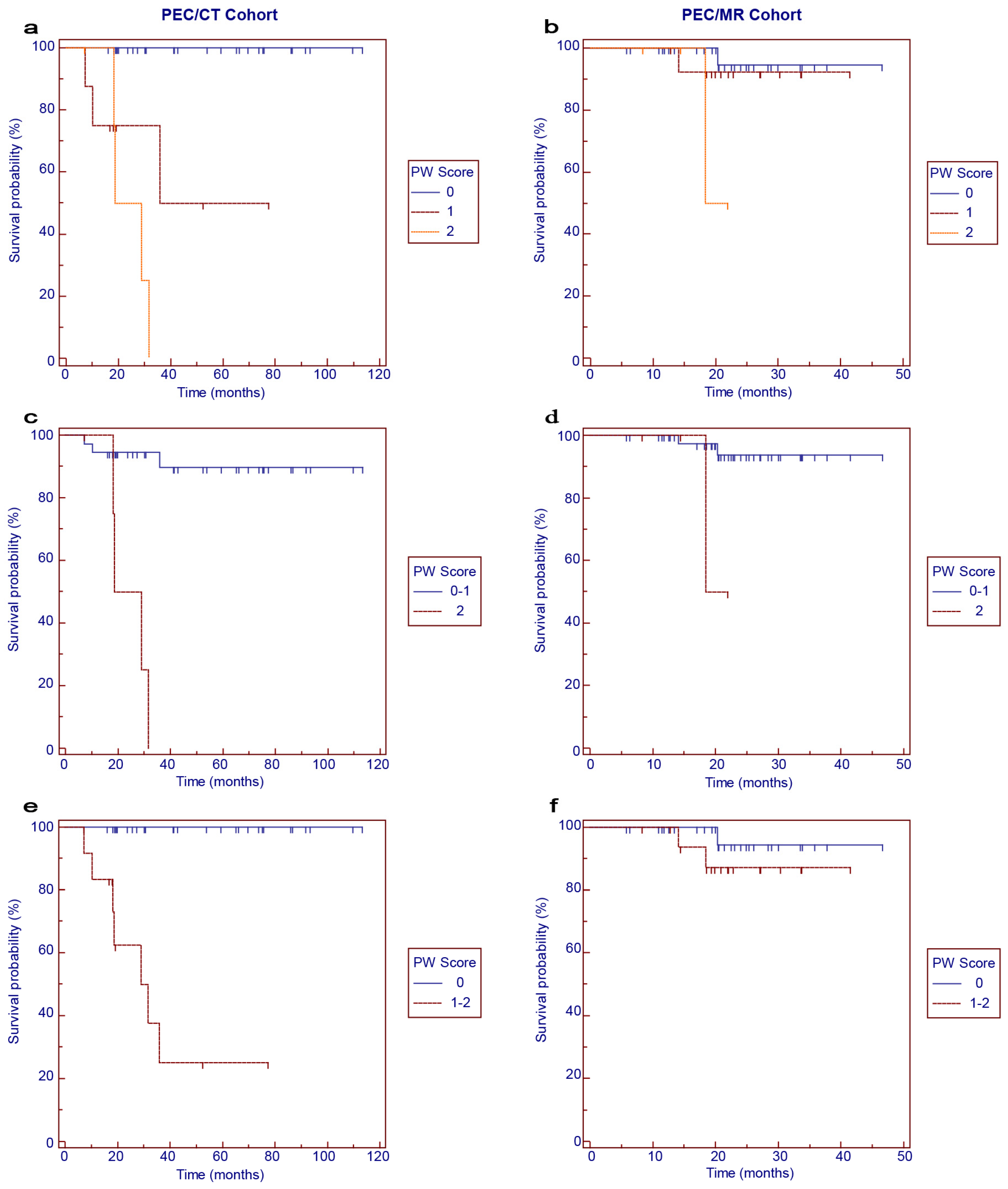 The Prognostic Significance of Pontine-White Matter Score in Primary ...