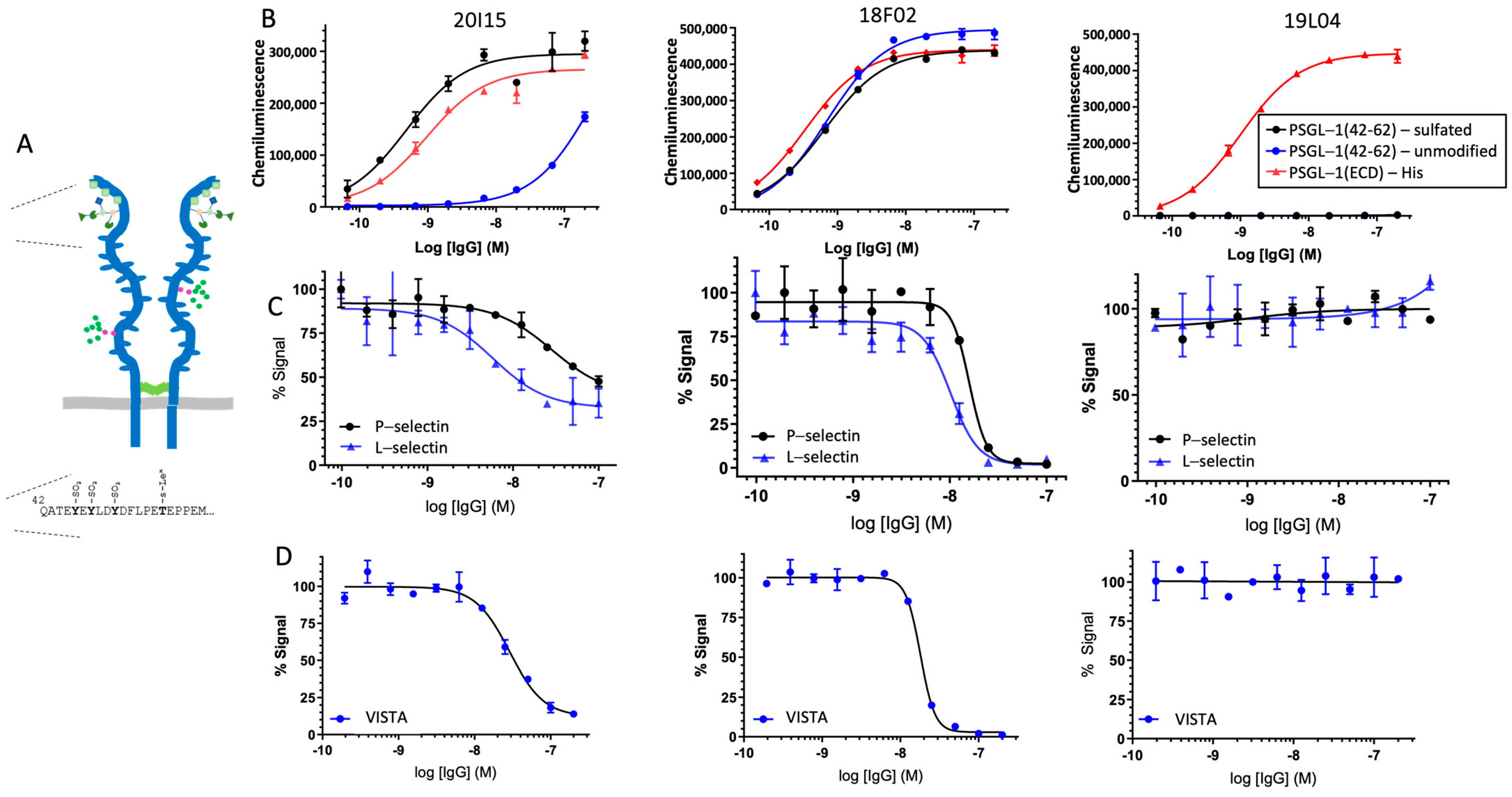 Preclinical Efficacy of VTX-0811: A Humanized First-in-Class PSGL-1 mAb Targeting TAMs to ...
