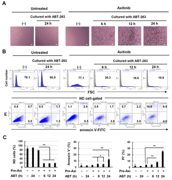 Therapeutic Senolysis of Axitinib-Induced Senescent Human Lung Cancer Cells