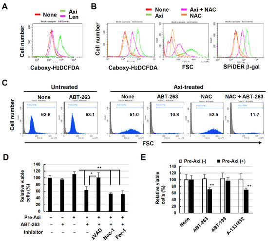 Therapeutic Senolysis of Axitinib-Induced Senescent Human Lung Cancer Cells