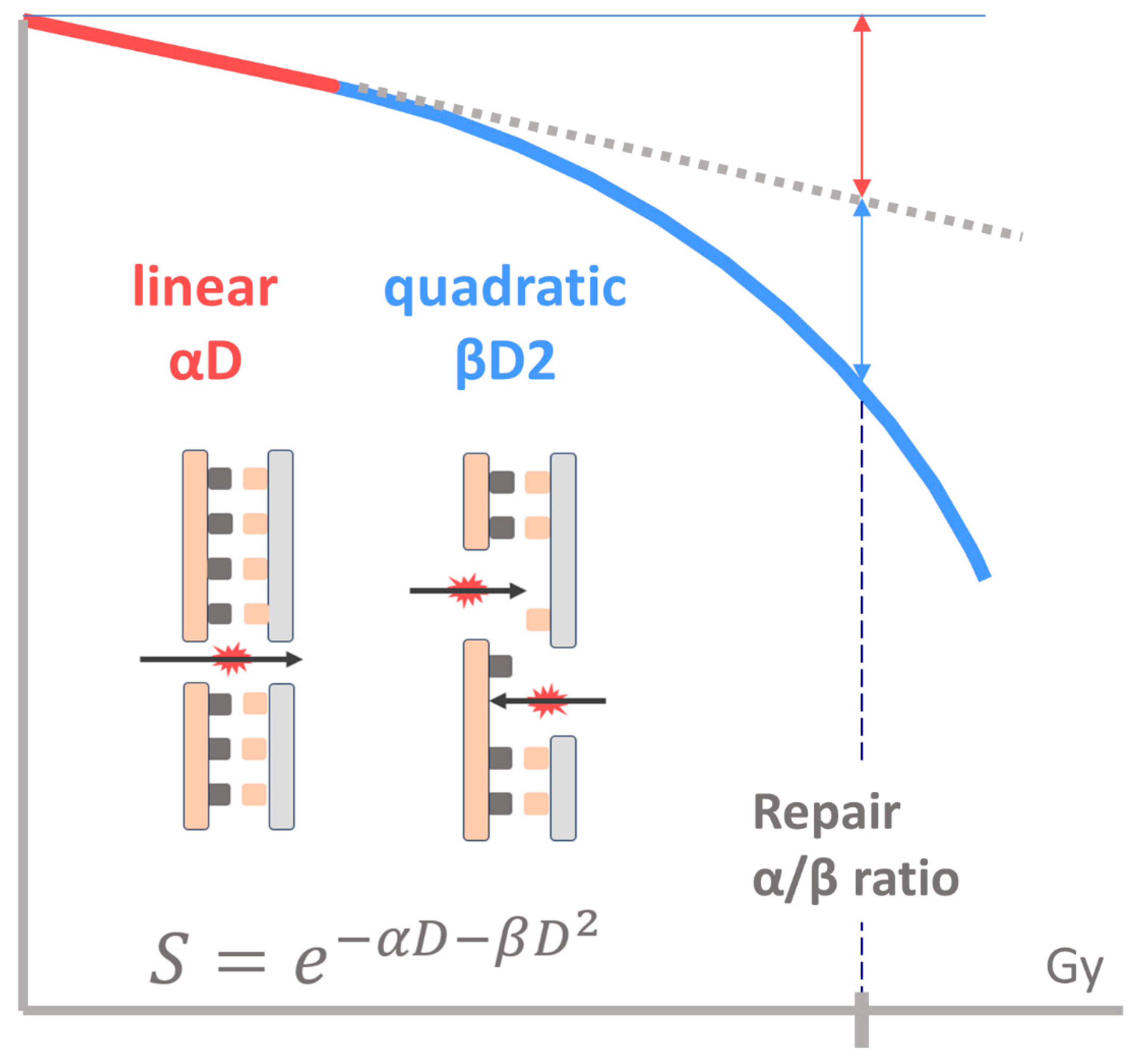 Cancers | Free Full-Text | The Effects of Gynecological Tumor ...