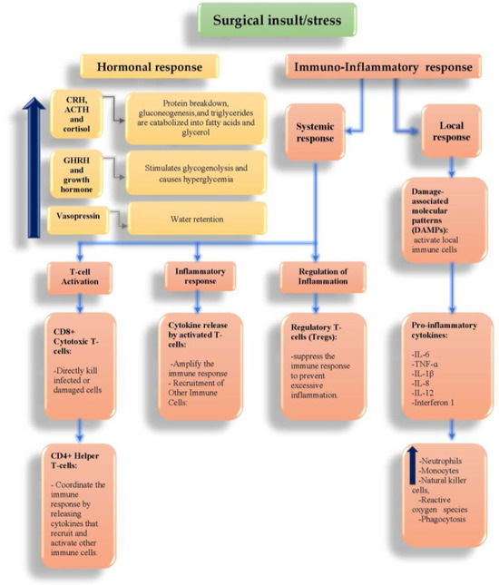 Perioperative Management of Patients with Diabetes and Cancer ...