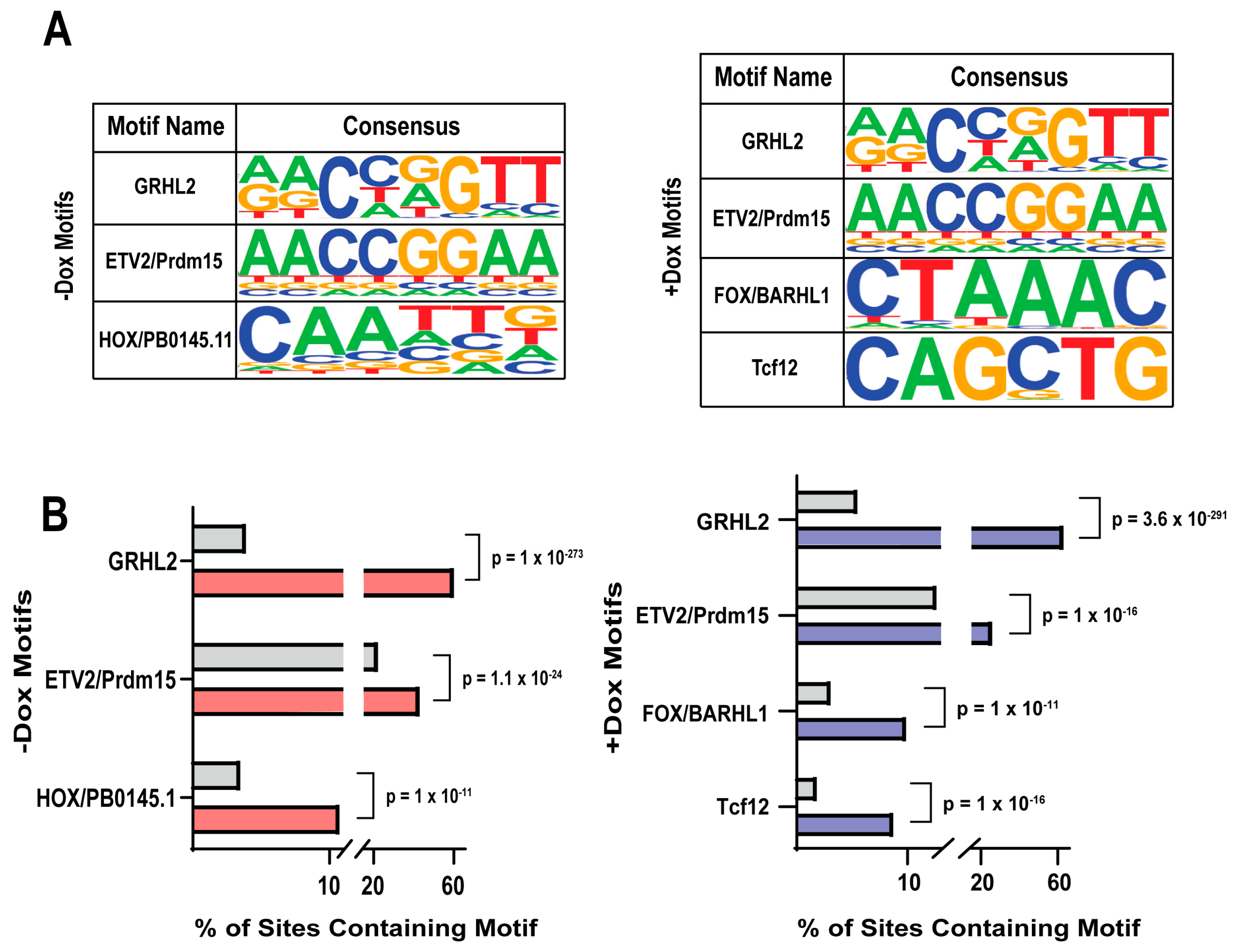 Cancers | Free Full-Text | Elevated GRHL2 Imparts Plasticity in ER-Positive Breast Cancer Cells
