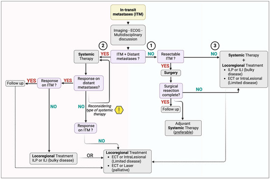 Therapeutic Treatment Options for In-Transit Metastases from Melanoma