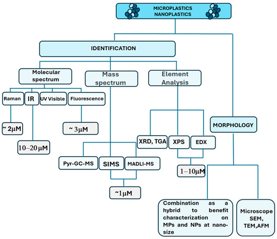 Orally Ingested Micro- and Nano-Plastics: A Hidden Driver of ...