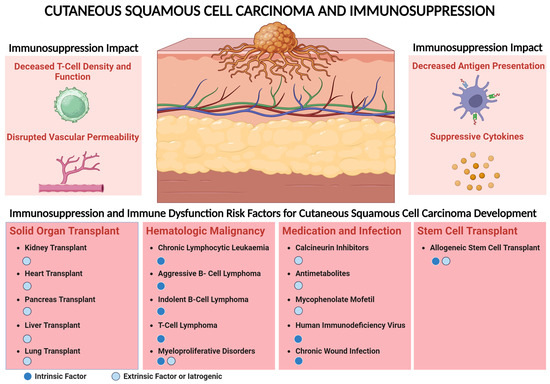 Cutaneous Squamous Cell Carcinoma in Patients with Solid-Organ-Transplant-Associated ...
