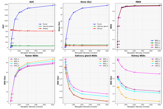 Model-Informed Radiopharmaceutical Therapy Optimization: A Study on the ...