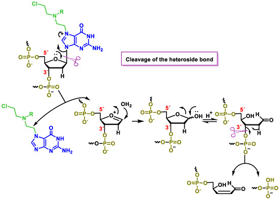 Dual-Action Therapeutics: DNA Alkylation and Antimicrobial Peptides for ...