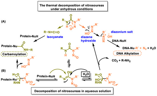 Dual-Action Therapeutics: DNA Alkylation and Antimicrobial Peptides for ...