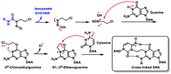 Dual-Action Therapeutics: DNA Alkylation and Antimicrobial Peptides for ...