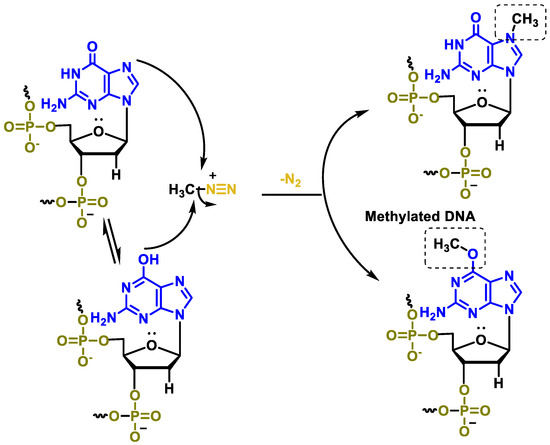 Dual-Action Therapeutics: DNA Alkylation and Antimicrobial Peptides for ...