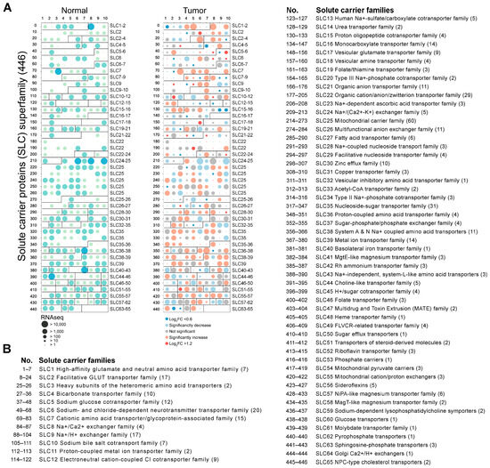The Solute Carrier (SLC) Transporter Superfamily as Therapeutic Targets ...