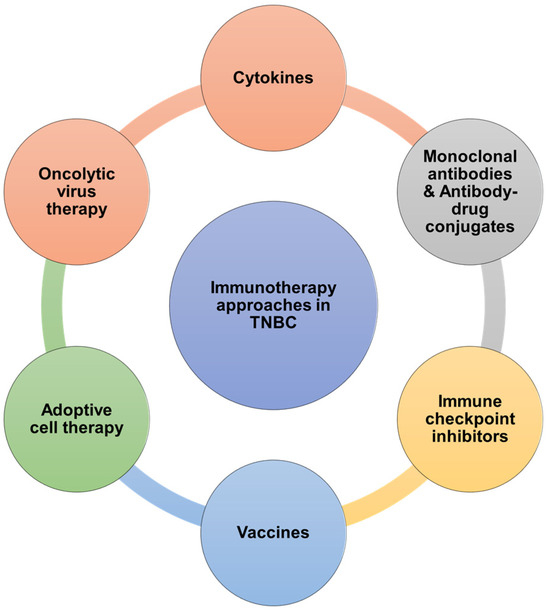 Present and Future of Immunotherapy for Triple-Negative Breast Cancer