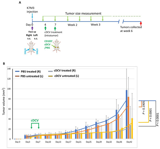 CD103+ cDC1 Dendritic Cell Vaccine Therapy for Osteosarcoma Lung Metastases