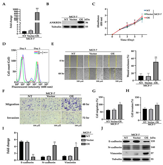 ANKRD1 Promotes Breast Cancer Metastasis by Activating NF-κB-MAGE-A6 ...