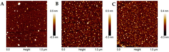 Safety Evaluation of Carbon Dots in UM-UC-5 and A549 Cells for Biomedical Applications