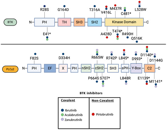 Advances in Targeted Therapy: Addressing Resistance to BTK Inhibition ...