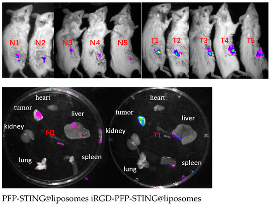 Low-Intensity Focused Ultrasound-Responsive Phase-Transitional ...